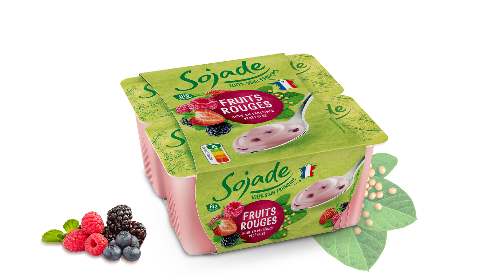 Desserts Fruits Rouges - Sojade